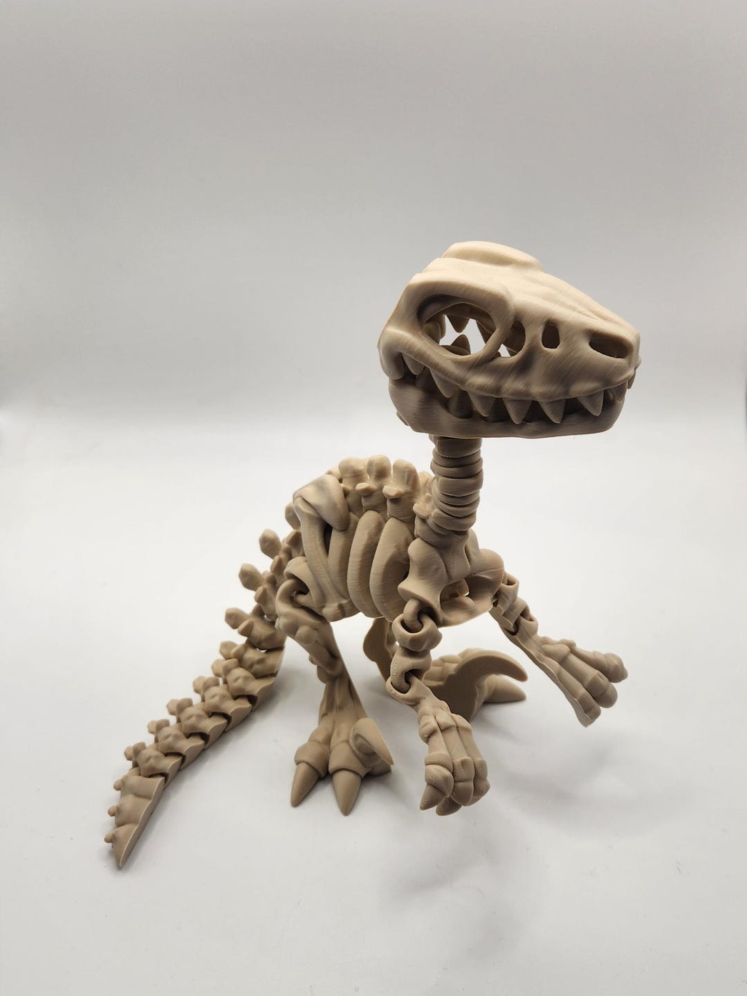 Raptor | 3D Printed | Articulated Flexi Toy | Adorable Poseable 6 Inch ...