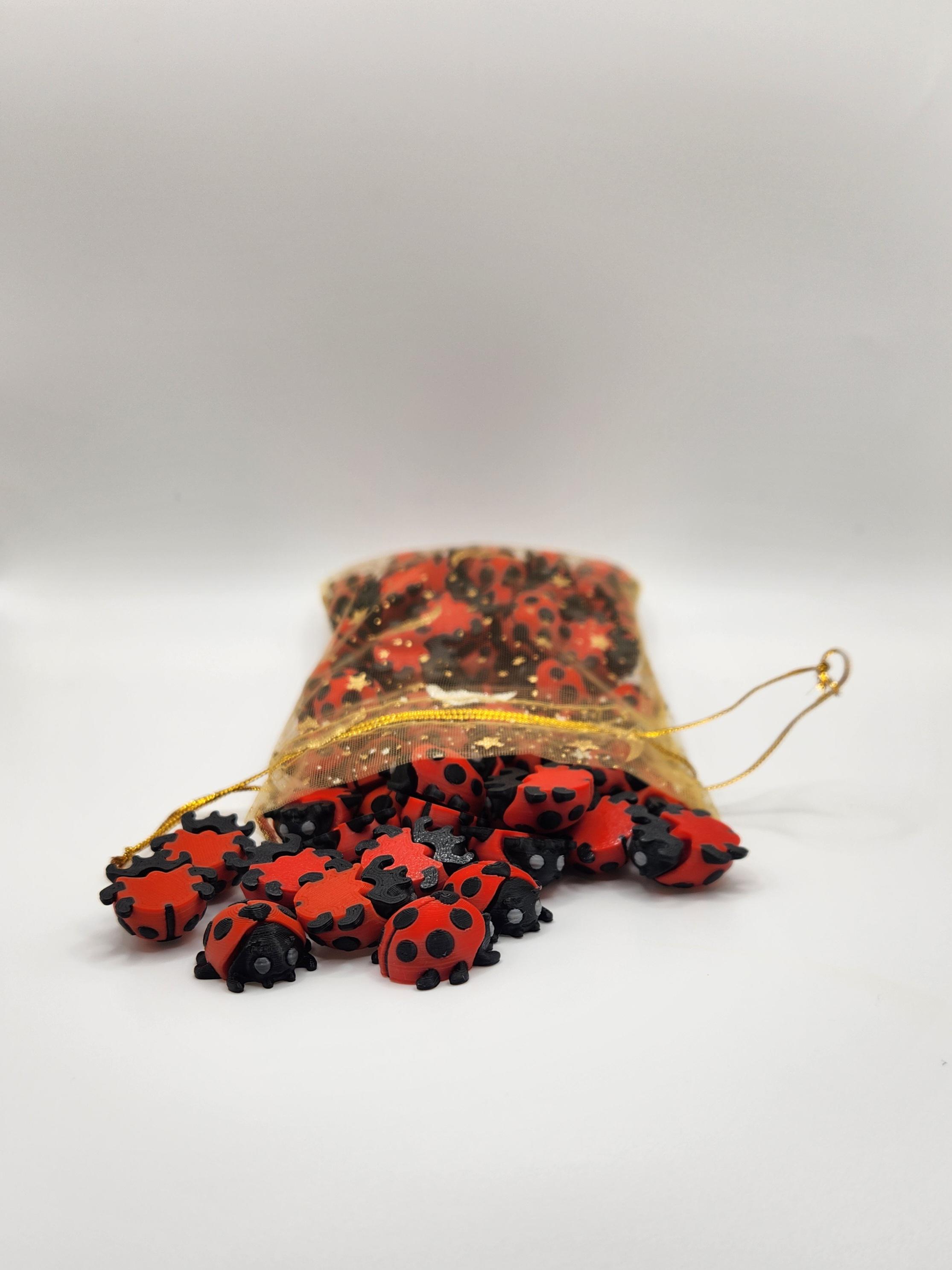Ladybugs | 3D Printed | Articulated Flexi Bundle | Adorable Poseable 1 ...