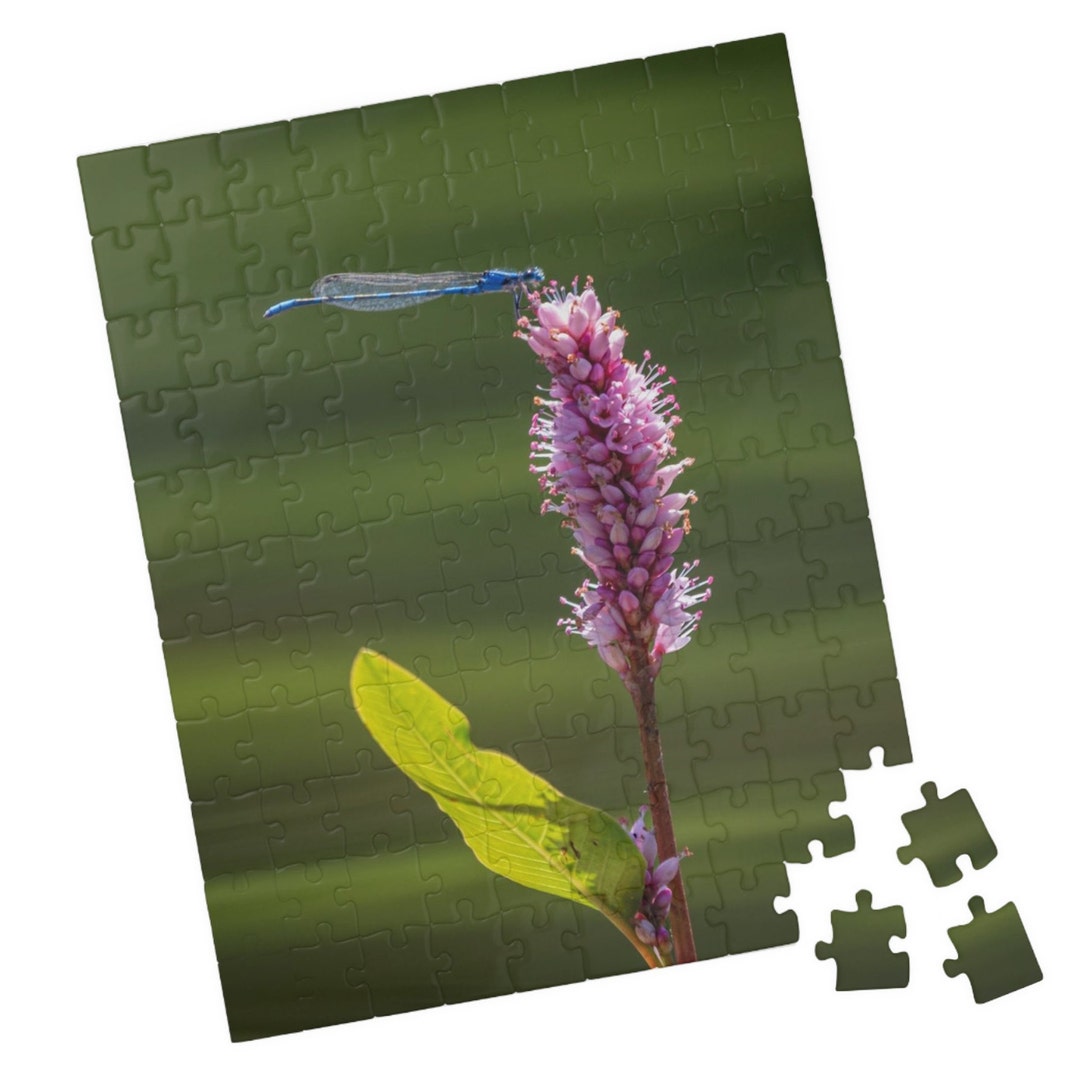 Blue Dragonfly Jigsaw Puzzle, Mindful and Relaxing Activity for Adults ...