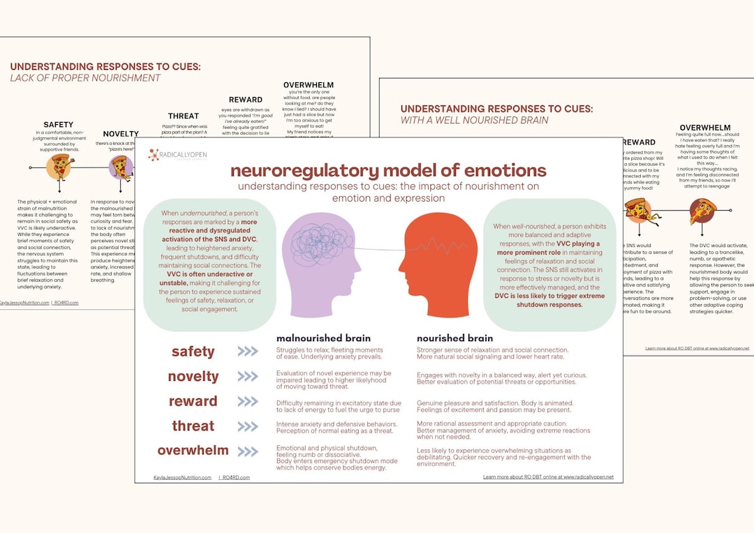 RO DBT for Eating Disorders Neuroregulatory Model of Emotions - Etsy
