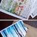 Boxed Gift Card Set Blank Nature Cards Forest Artwork - Etsy