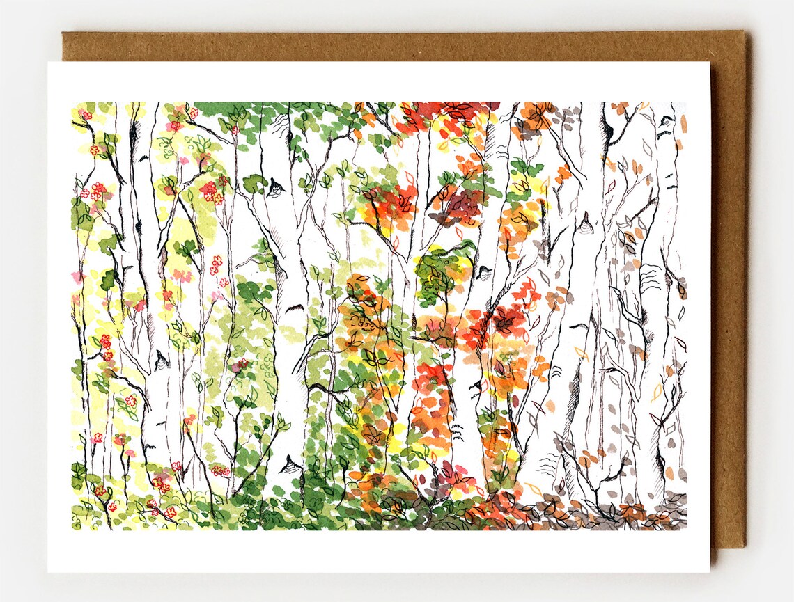 Box of Cards Gift Cards Forest Nature Cards Boxed - Etsy