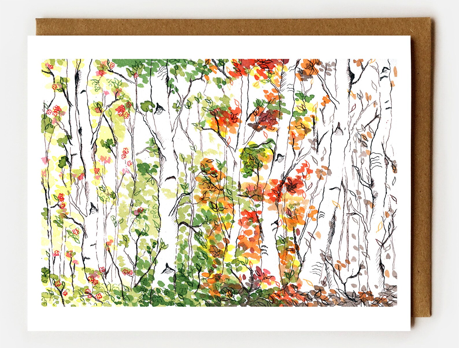 Box of Cards Gift Cards, Forest, Nature Cards, Boxed Greeting Cards ...