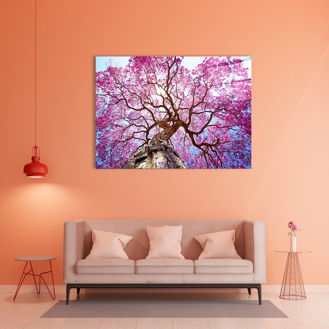 Pink Lapacho Tree Backlit by the Sun on the Transpantaneira Road ...