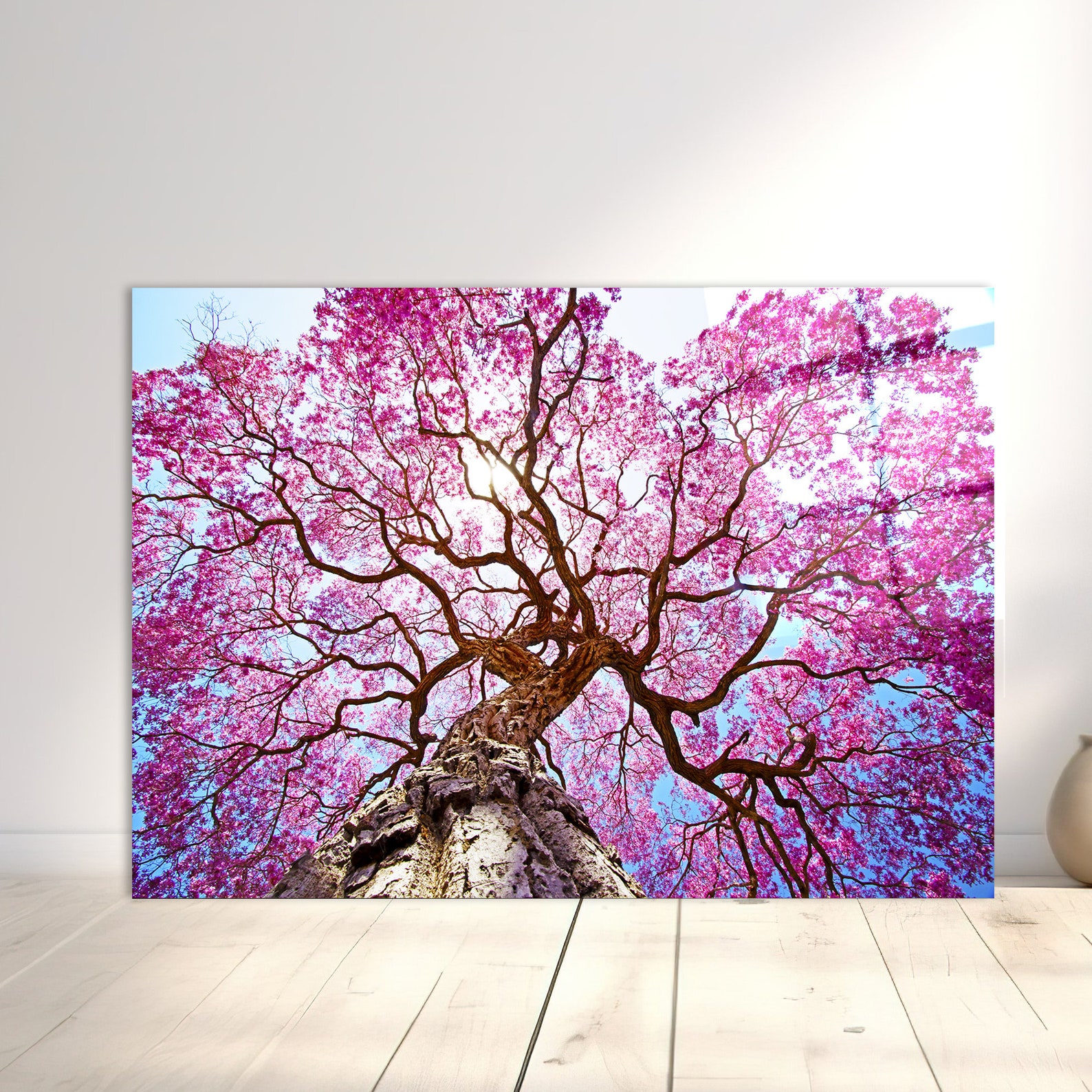 Pink Lapacho Tree Backlit by the Sun on the Transpantaneira Road ...