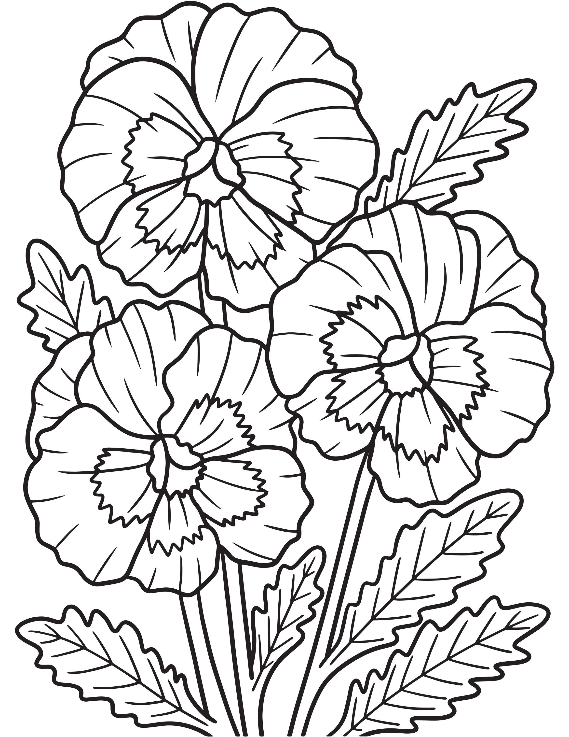 Garden Flower Coloring Book - Etsy