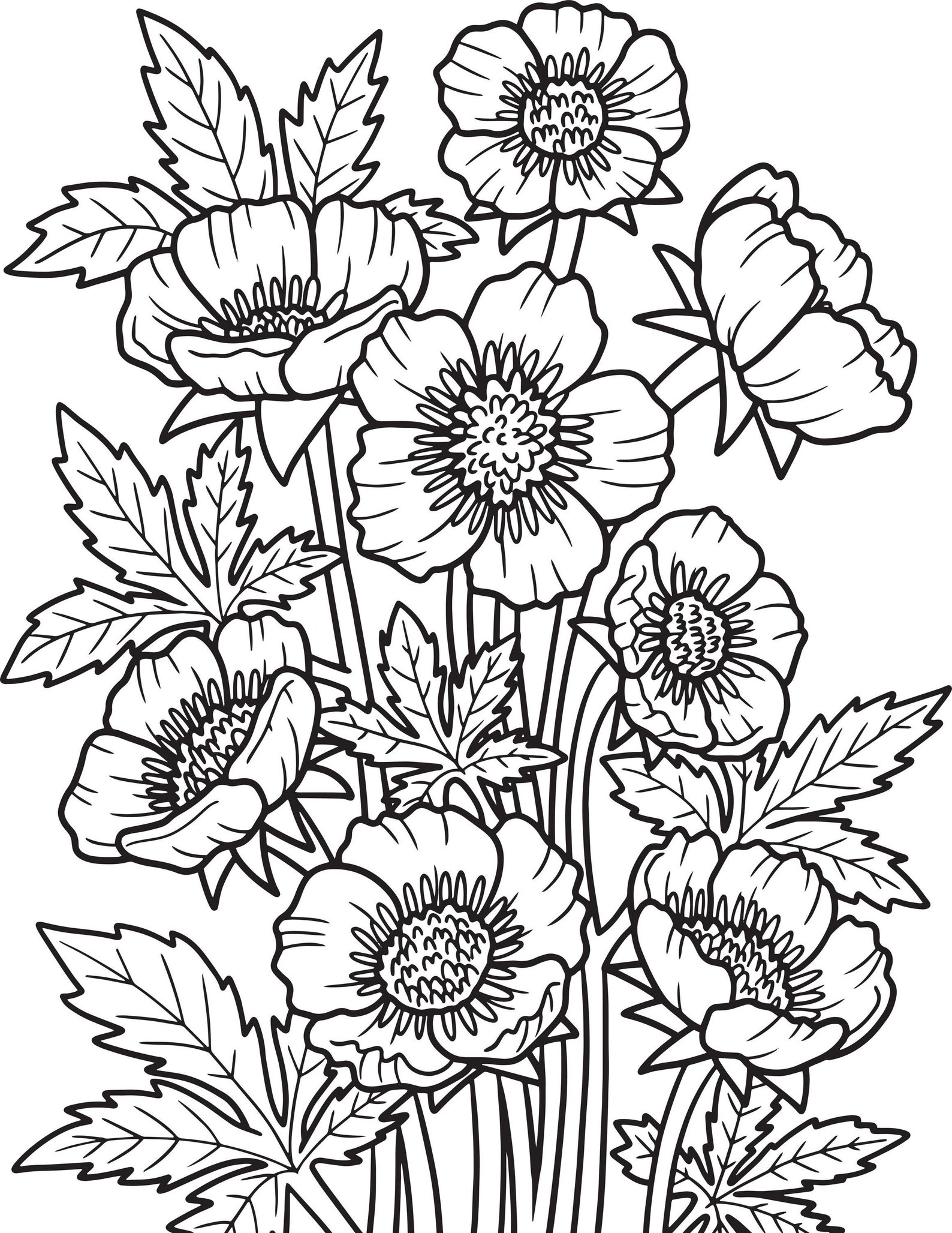 Garden Flower Coloring Book - Etsy