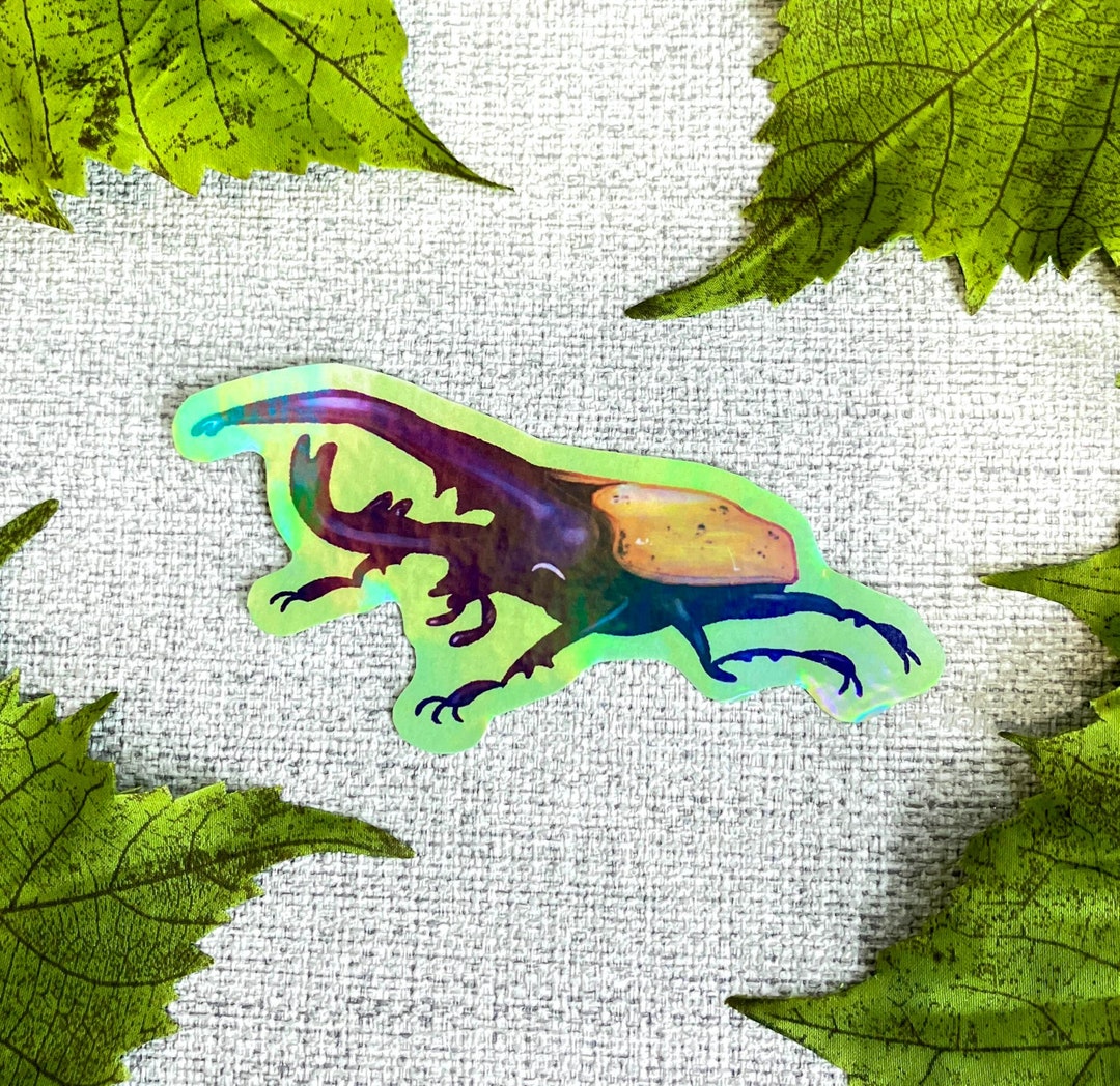 Hercules Beetle Rainbow Holographic Vinyl Sticker | Wildlife Insect ...