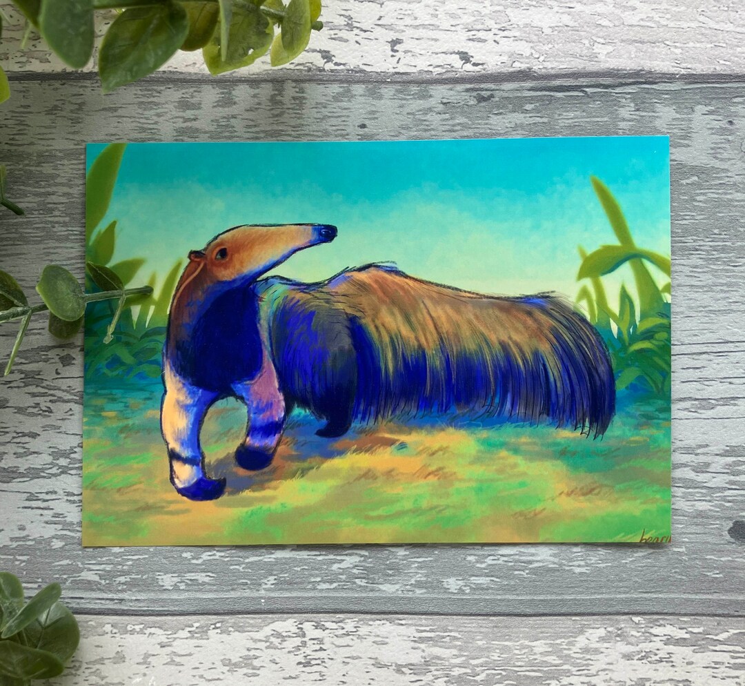 Giant Anteater Illustration | Matte Art Print | African Wildlife Animal ...