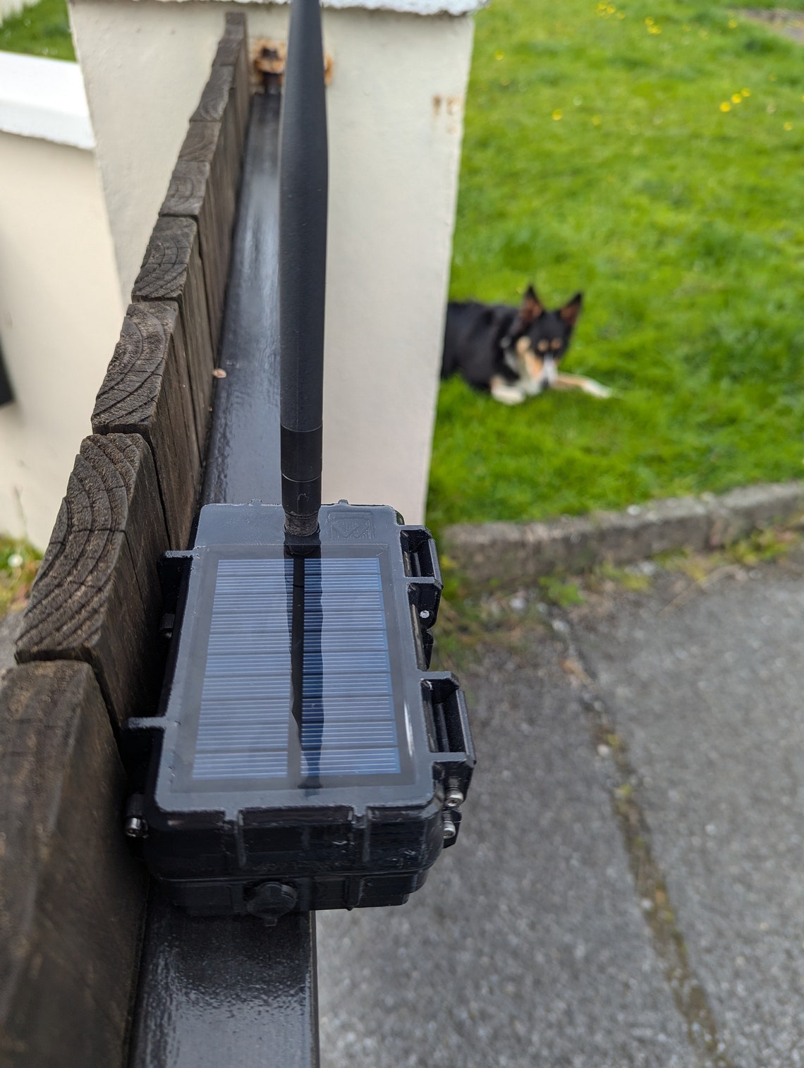 Mobile Enclosure for Your Meshtastic Device (case Only) - Etsy