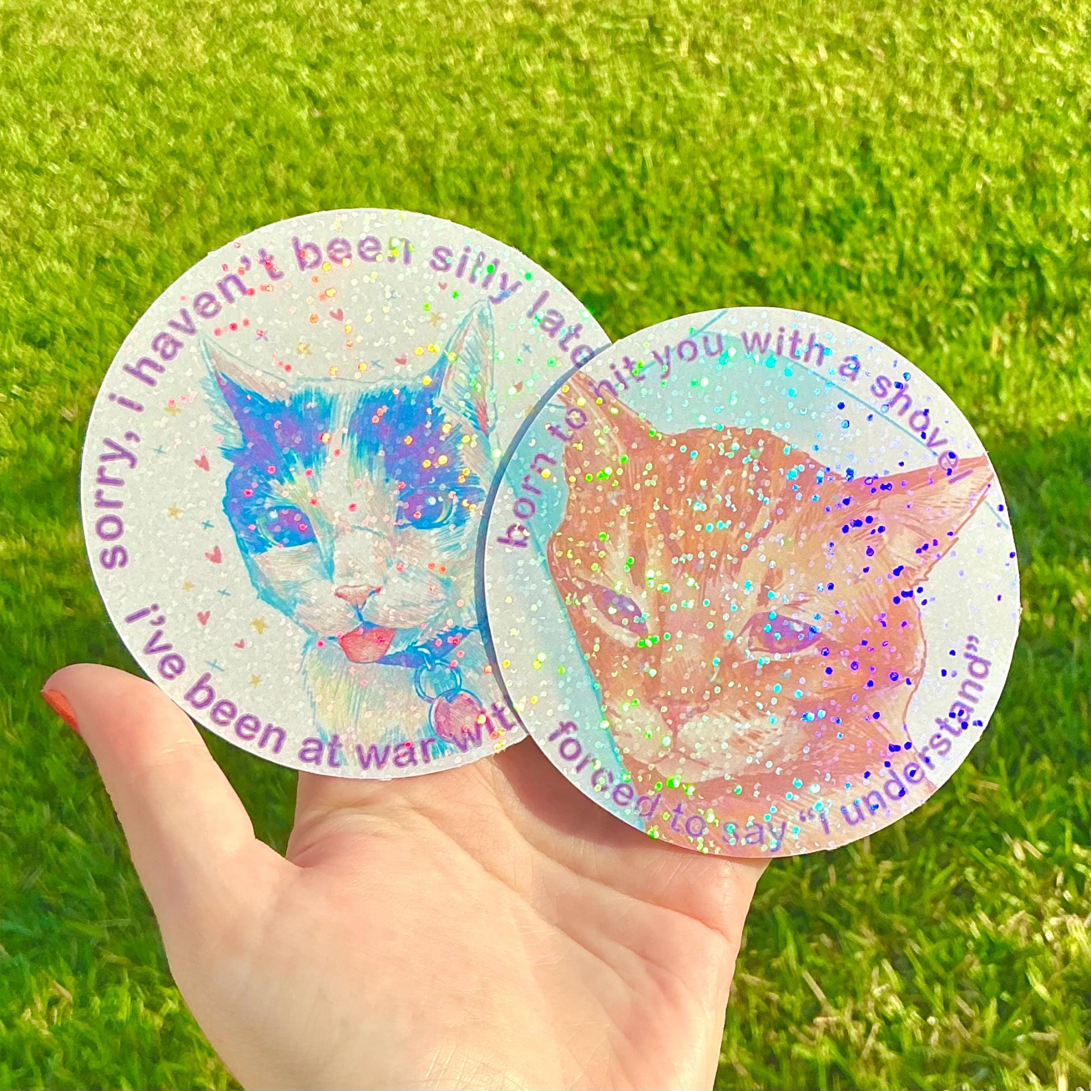 Holographic Silly Cat Meme Stickers - Etsy