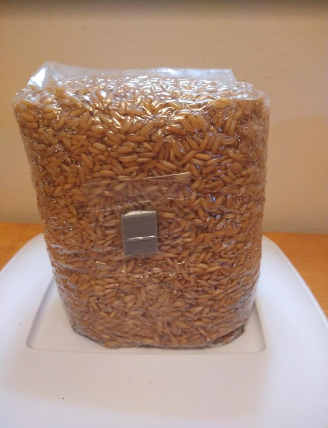Brown Rice Grain Spawn - 2 Pound Bag - Etsy