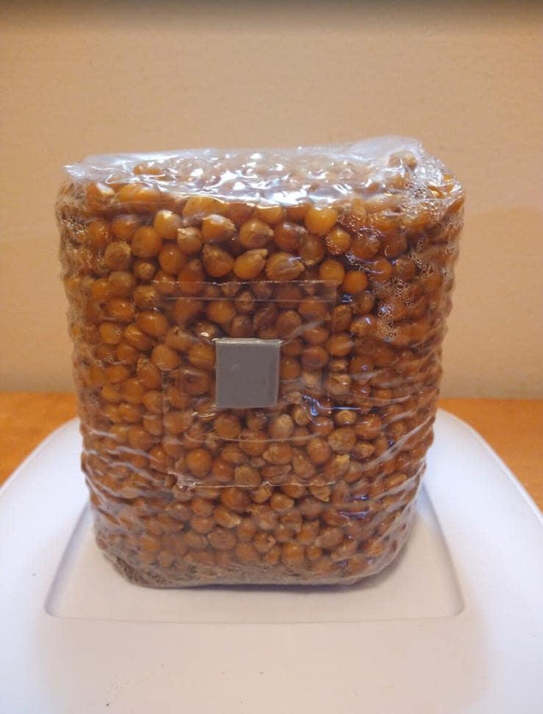 Popcorn Grain Spawn - 2 Pound Bag - Etsy