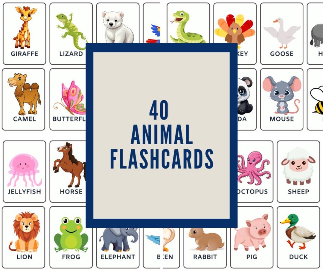 Animal Flashcards, ESL, Cambridge Starters, Classroom Materials - Etsy