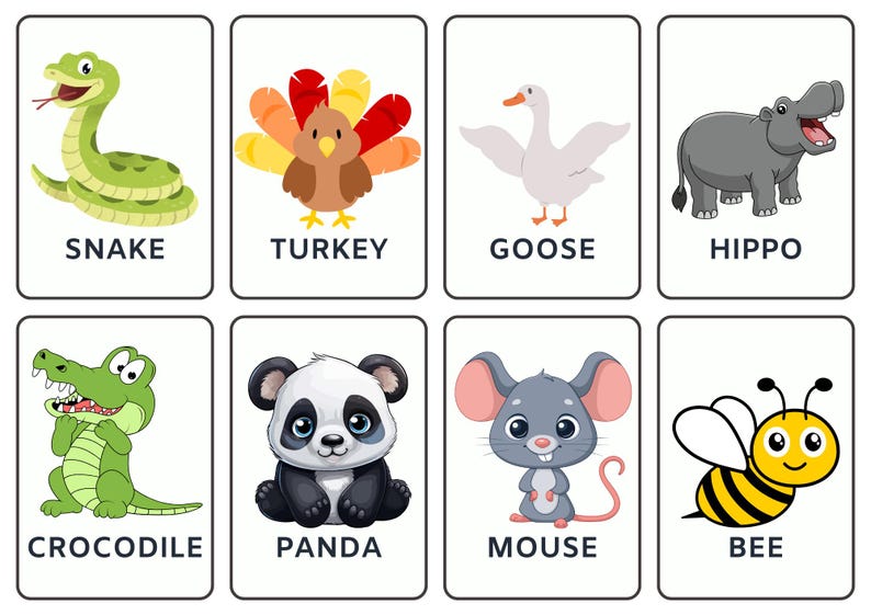Animal Flashcards, ESL, Cambridge Starters, Classroom Materials - Etsy