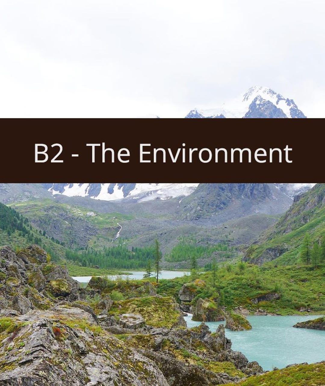 B2 Environment Vocabulary, ESL, Grammar Worksheets, - Etsy