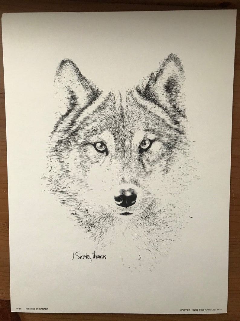 J. Sharkey Thomas Fine Art Print Timber Wolf 1973 9x12 - Etsy