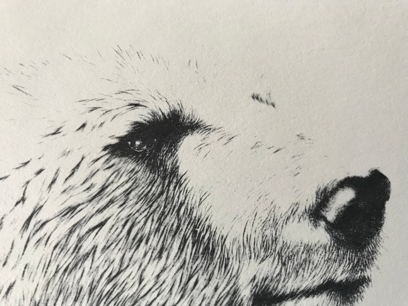 J. Sharkey Thomas Fine Art Print - Polar Bear - 1973 - 9x12 - Etsy