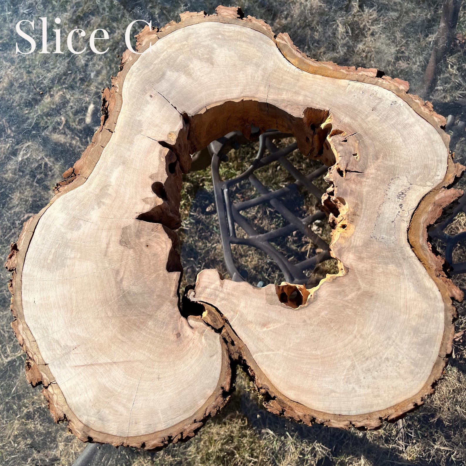 Silver Maple Rounds*resin Ready*rare Unique Spalted*live Edge Slab ...