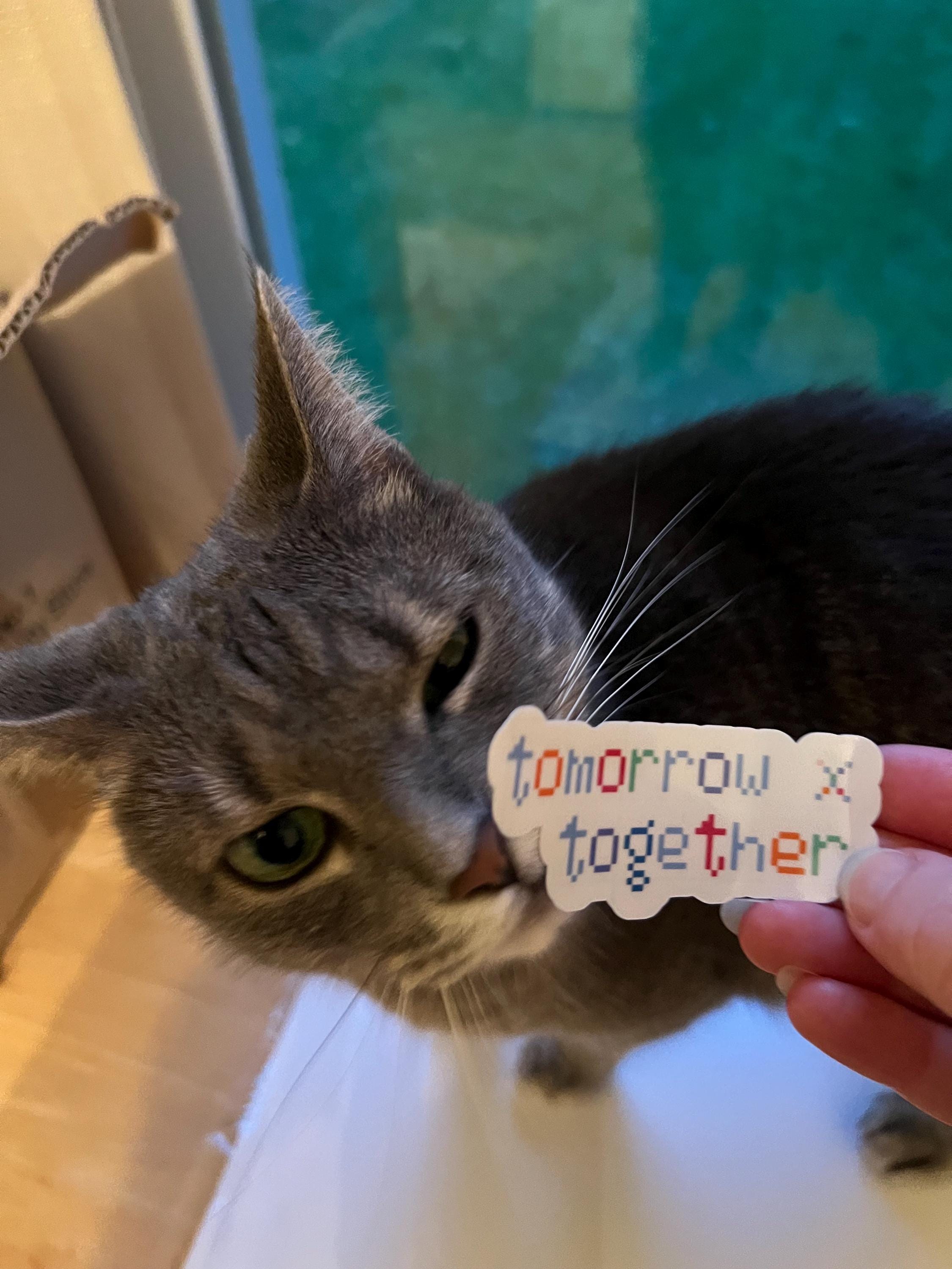 Tomorrow X Together blue Hour Sticker - Etsy