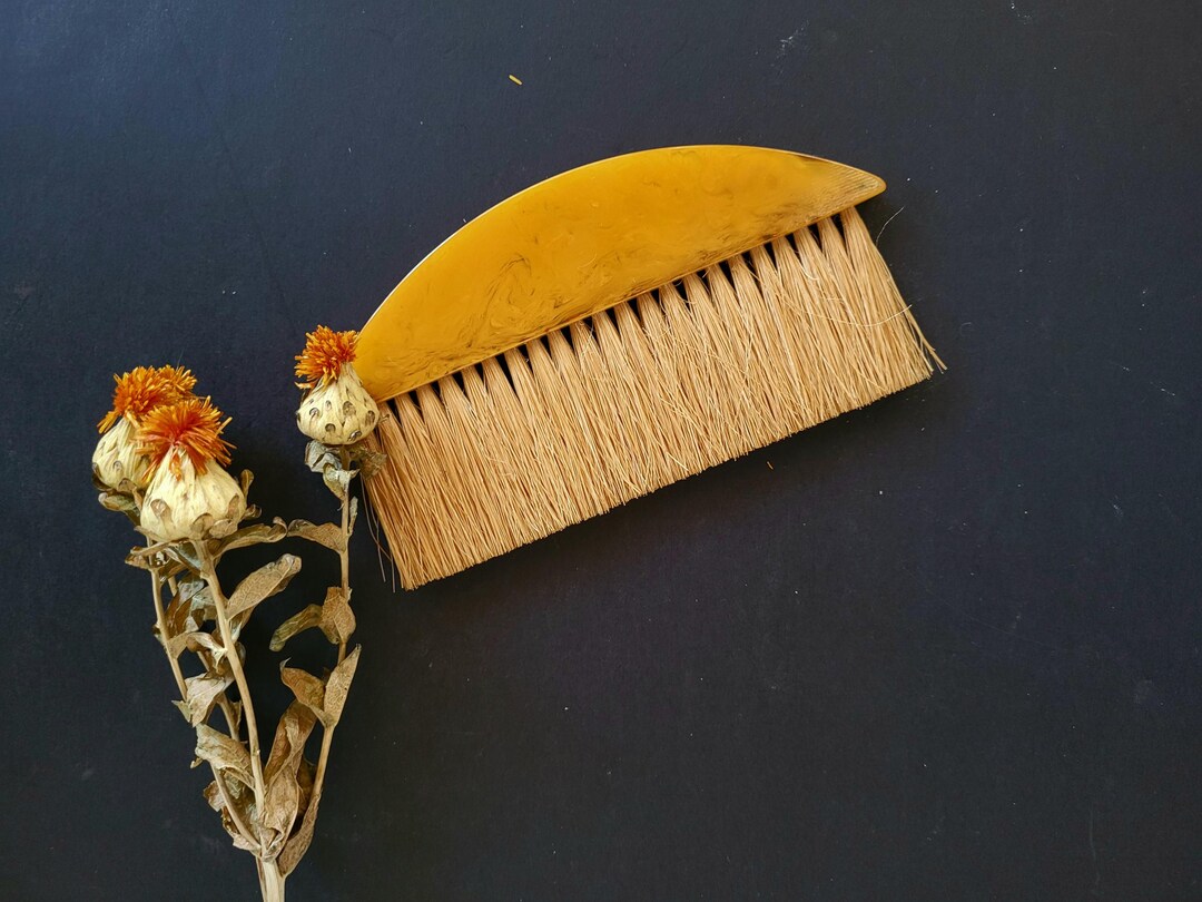 Antique French Celluloid Clothes Brush Men's Haberdashery Early 1900's ...