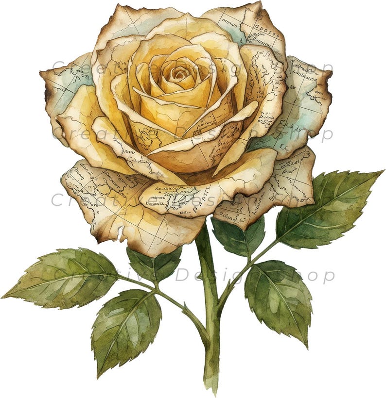 Clipart de rosas y flores con mapas recortados de técnica mixta para ...