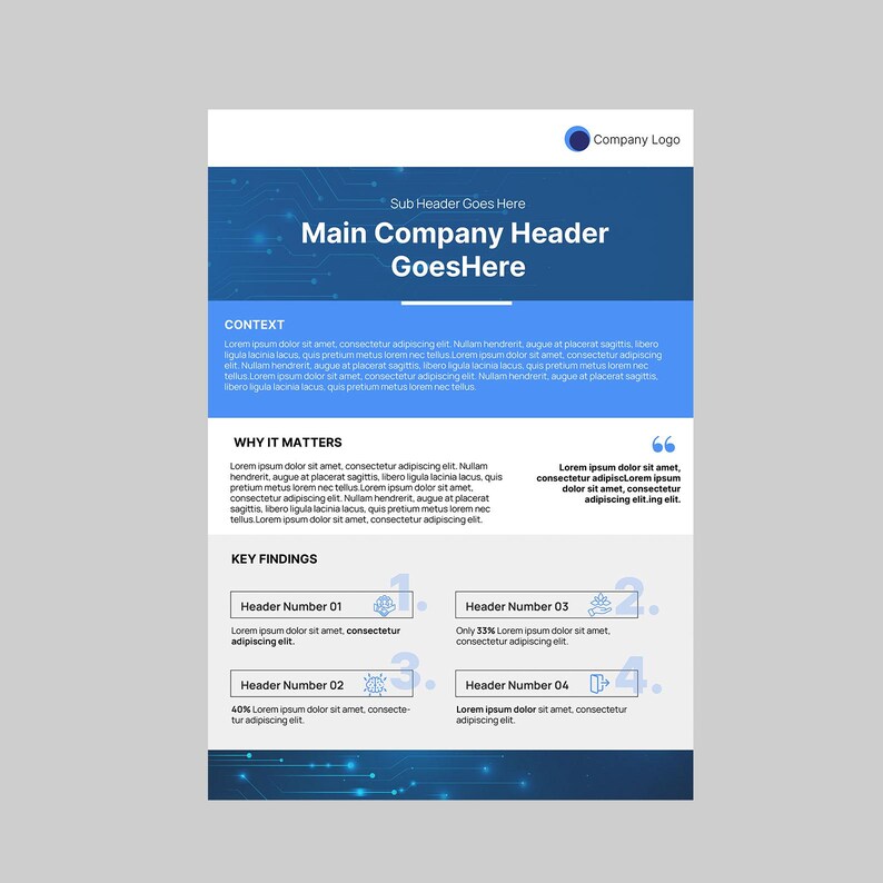 Editable Business One-pager Template: Canva Executive Summary (A4) - Etsy