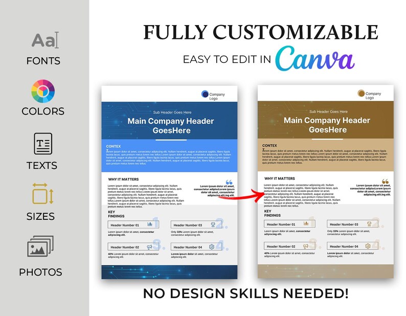 Editable Business One-pager Template: Canva Executive Summary (A4) - Etsy