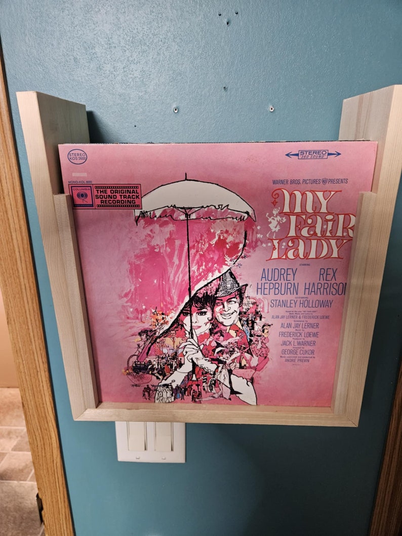 Hanging Vinyl Record Holder - Etsy