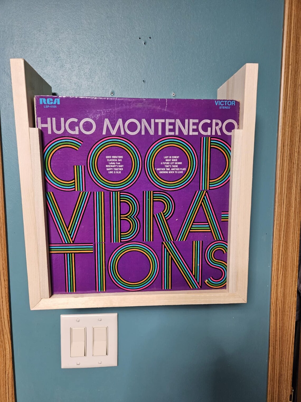 Hanging Vinyl Record Holder - Etsy