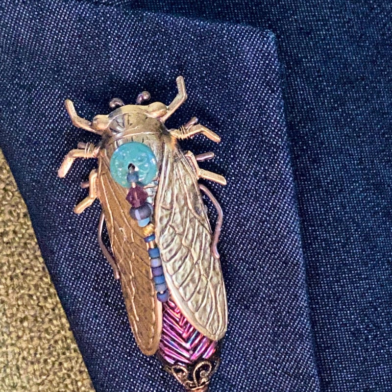 Cicada Brooch - Etsy
