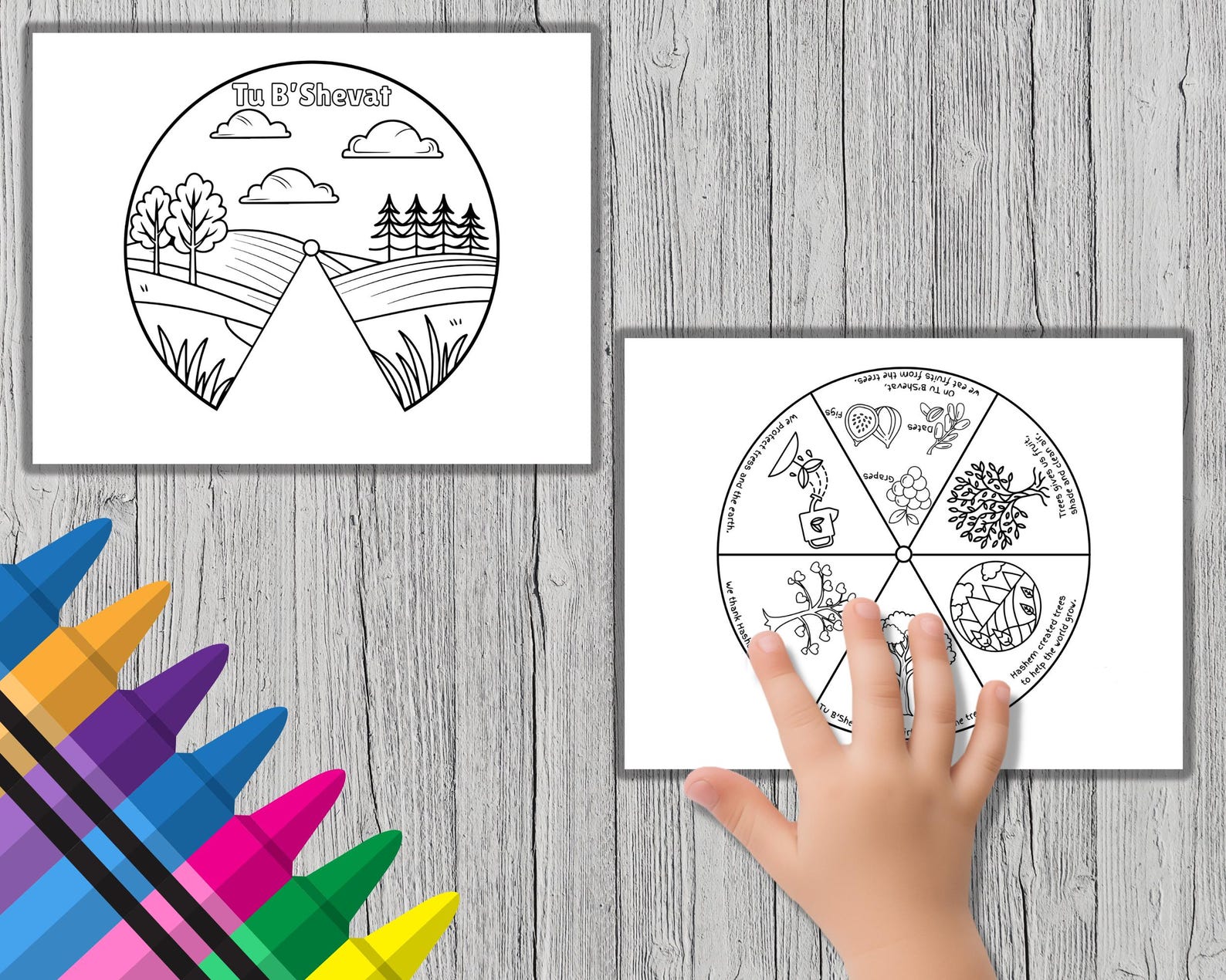 Tu B'shevat Coloring Wheel Craft, Printable Tu Bishvat Kids Activity ...