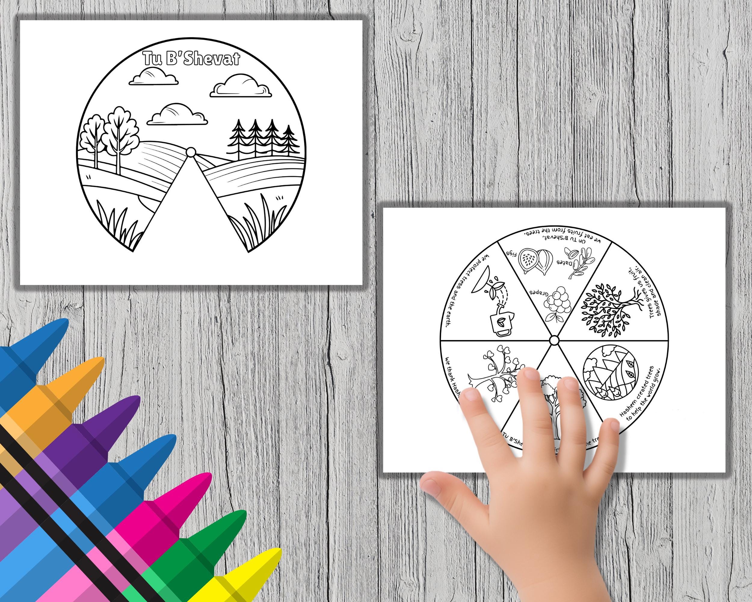 Tu B'shevat Coloring Wheel Craft, Printable Tu Bishvat Kids Activity ...