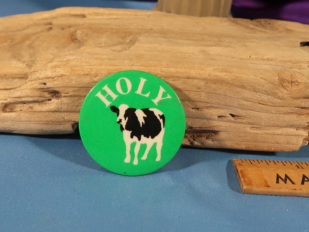 FUNKY HOLY COW Pin Back Pin Badge 1991 Fun Badge for Eccentric Animal ...