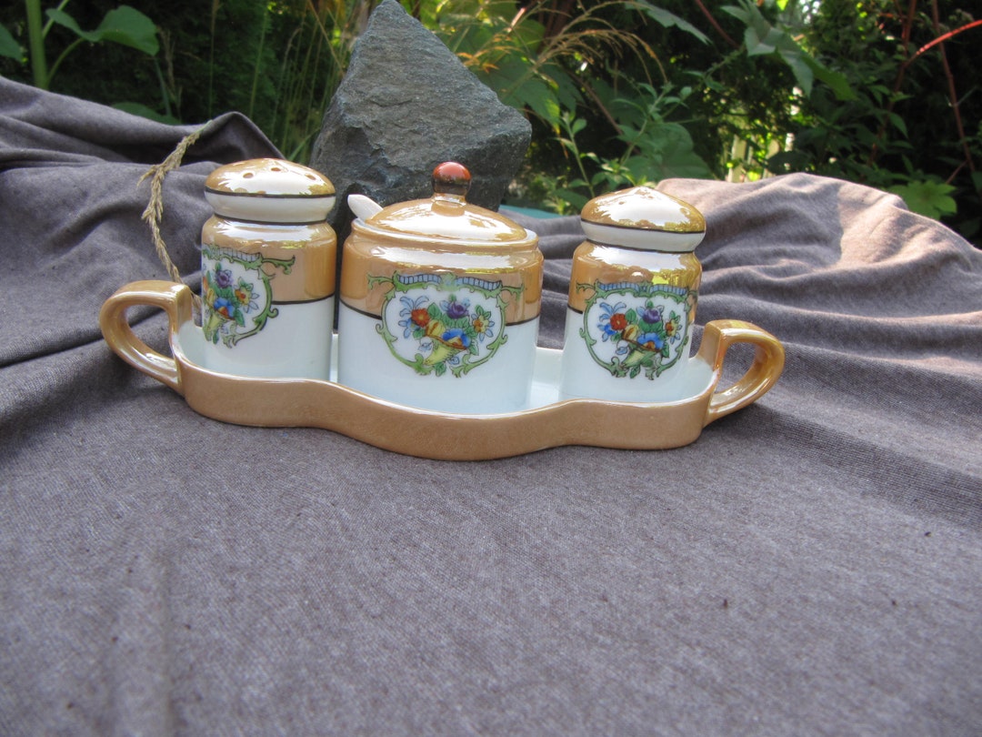 Noritake Condiments Set, Vintage Noritake Salt and Paper Set, Floral ...
