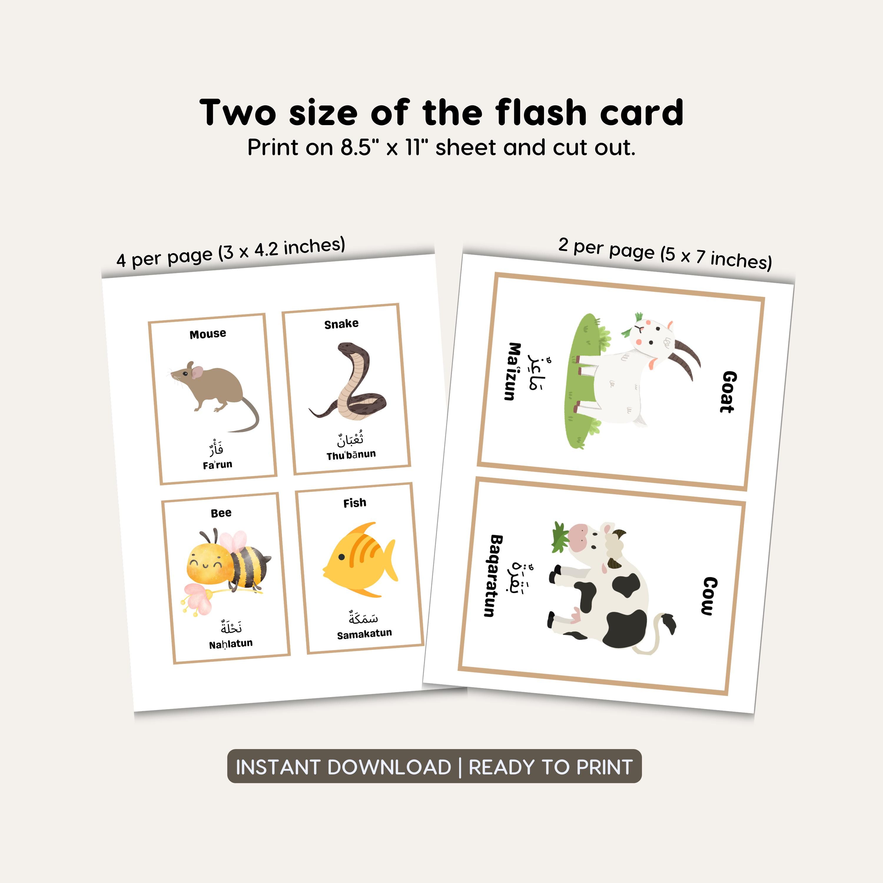 Arabic Animal Flashcards Printable Arabic-english Flashcards Learning ...