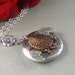 Turtle Locket Turtle Pendanttortoise Locket Pendant Owl - Etsy
