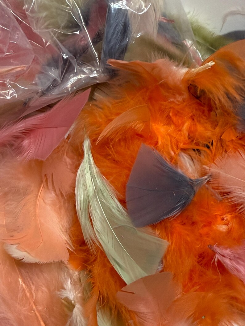 Flowers and Feathers Grab Bag for Junk Journals, Card Making and ...