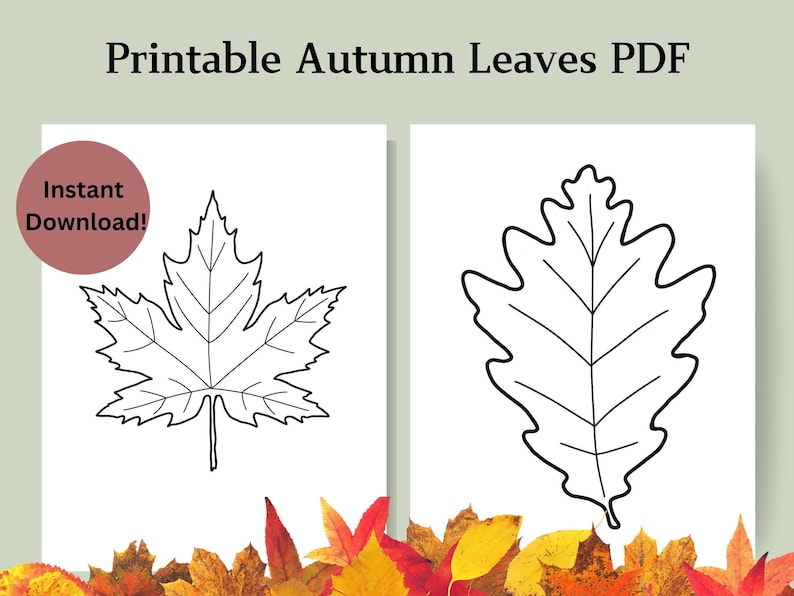 Printable Autumn Leaves PDF - Fall Leaves Outlines for Crafts ...
