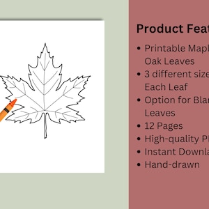 Printable Autumn Leaves PDF - Fall Leaves Outlines for Crafts ...