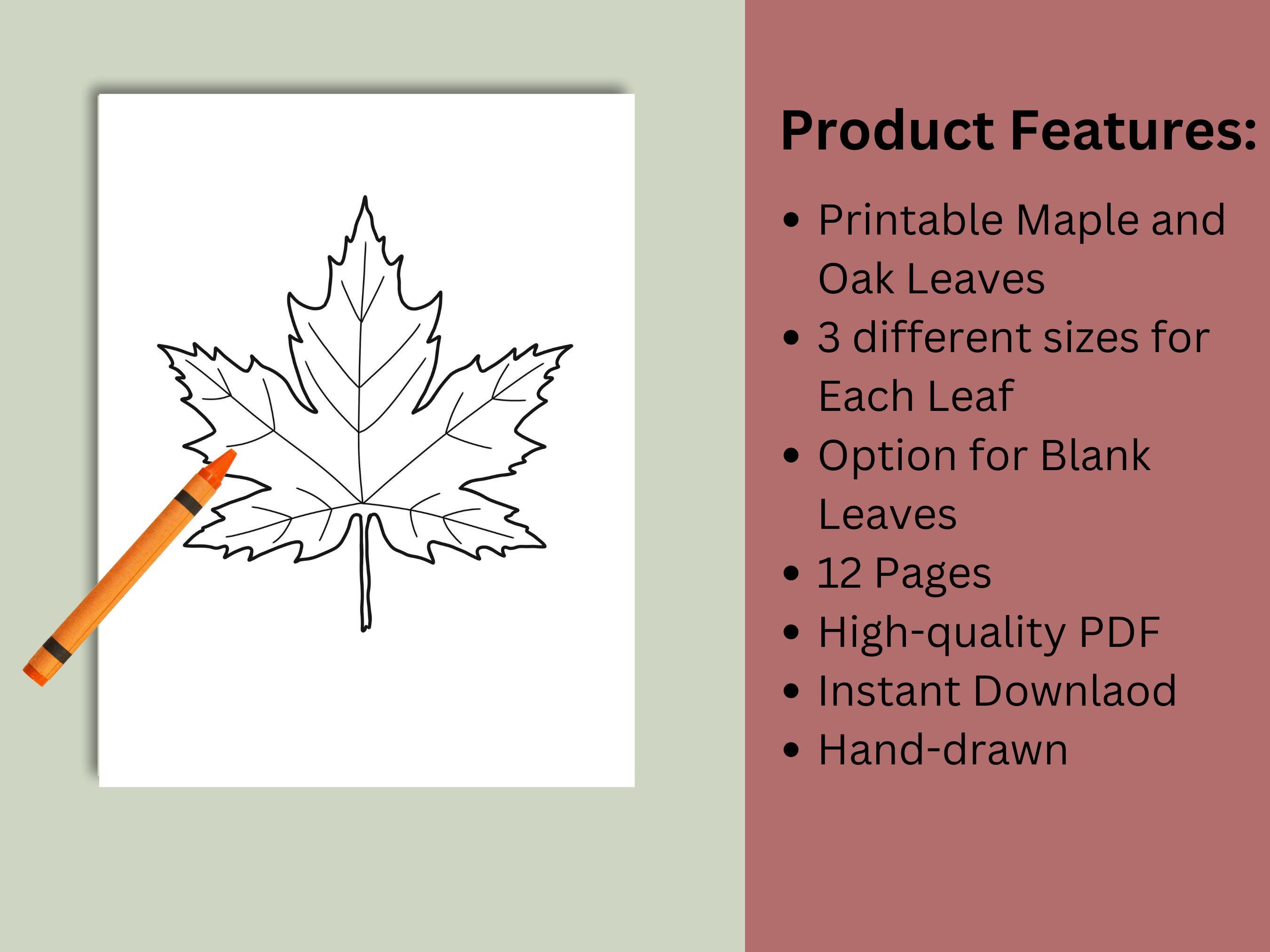 Printable Autumn Leaves PDF - Fall Leaves Outlines for Crafts ...