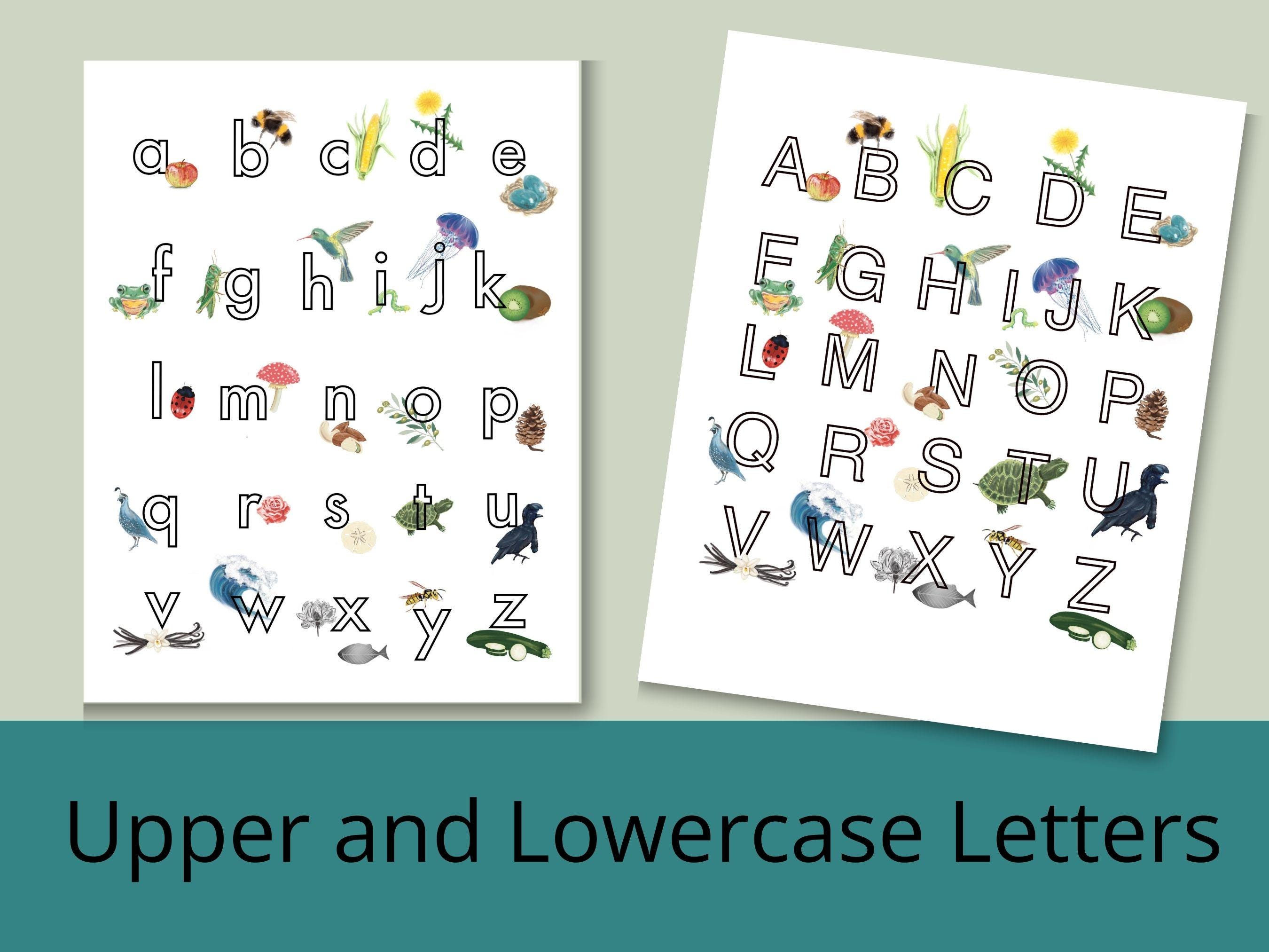 Morning Menu - Preschool - Kindergarten - Toddler - Printable ...