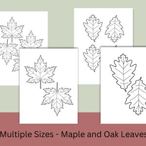 Printable Autumn Leaves PDF - Fall Leaves Outlines for Crafts - Coloring - Classroom Projects ...
