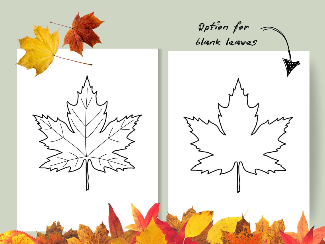Printable Autumn Leaves PDF - Fall Leaves Outlines for Crafts ...