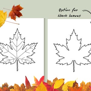 Printable Autumn Leaves PDF - Fall Leaves Outlines for Crafts ...