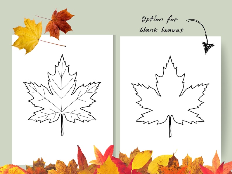 Printable Autumn Leaves PDF - Fall Leaves Outlines for Crafts ...