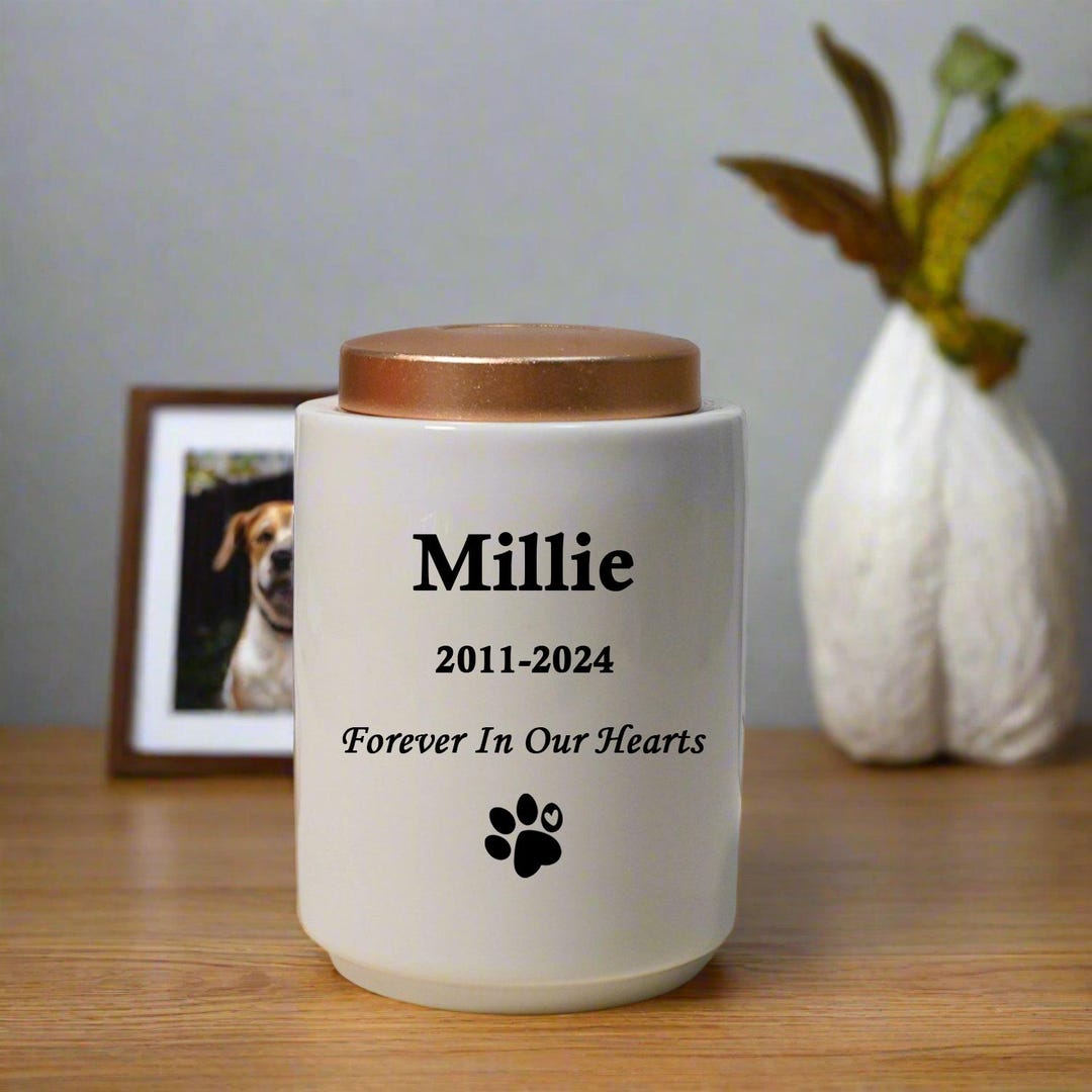 Personalized Pet Memorial Urns for Dog Cat Ashes, White Ceramic Funeral ...