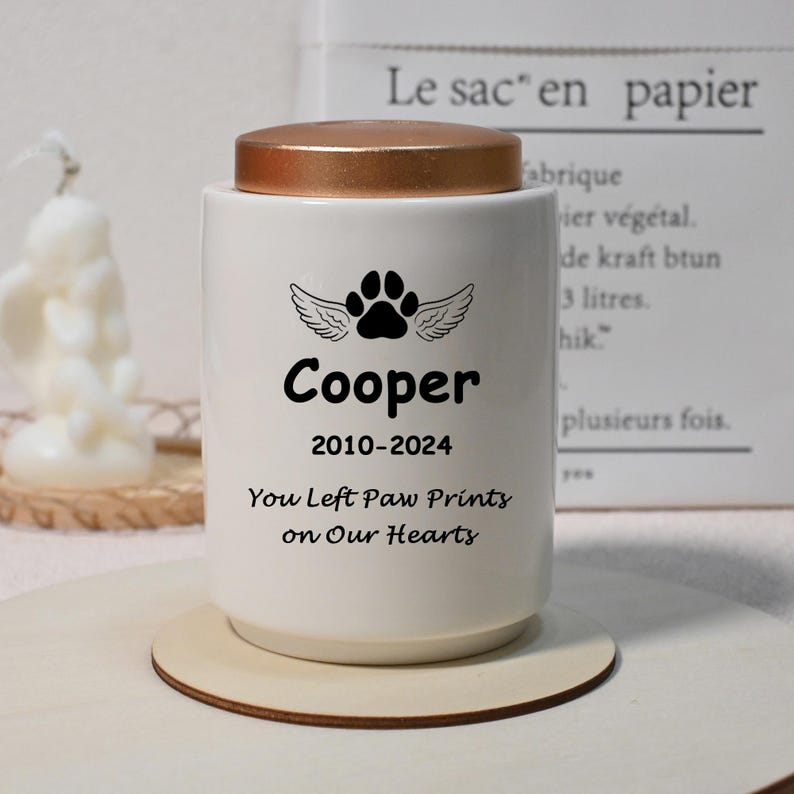 Personalized Pet Memorial Urns for Dog Cat Ashes, White Ceramic Funeral ...
