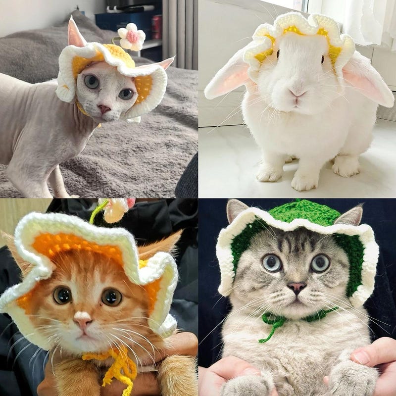Cat Hats - Etsy