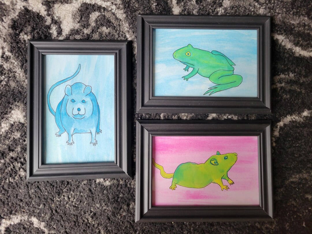 Vermin Original Gouache Paintings: Rats, Frogs - Etsy